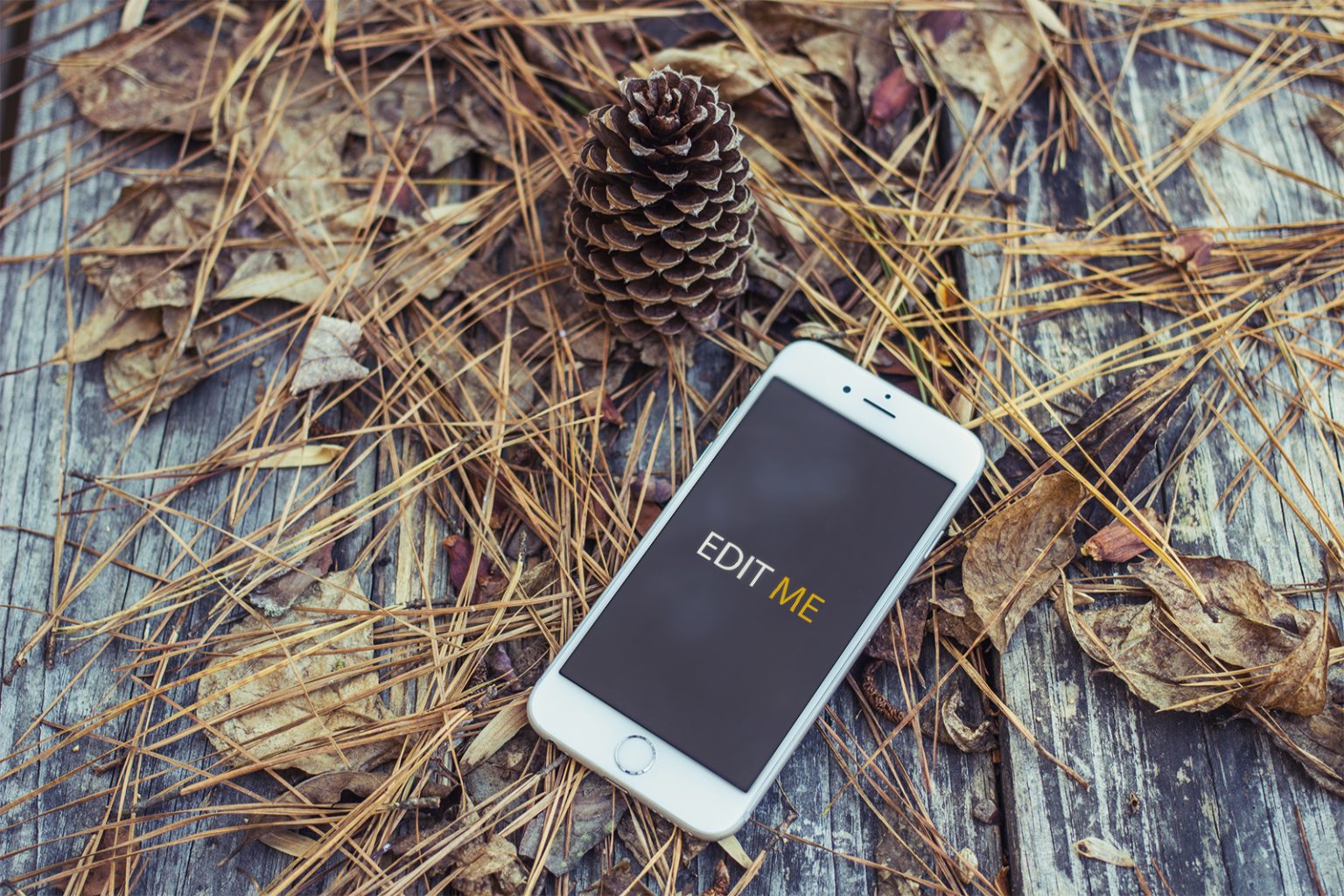 Autumn Style iPhone Mockup — Free Mockup World
