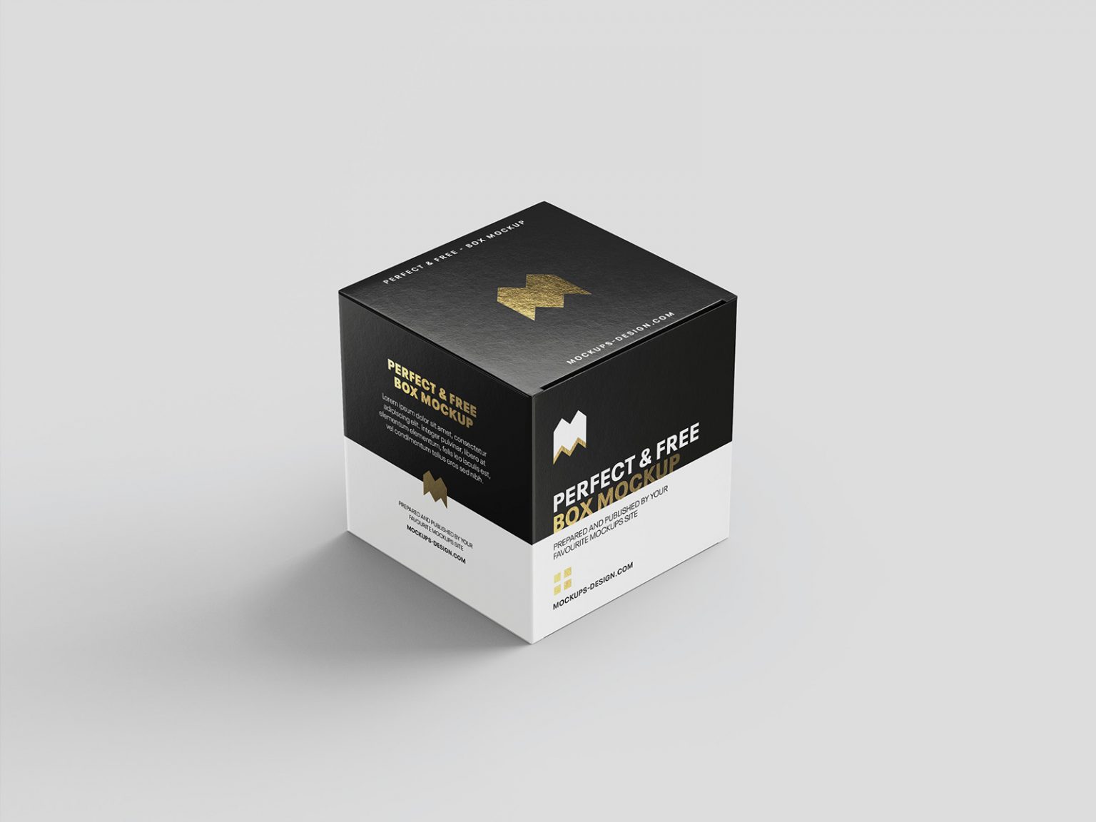 Square Box Free Mockup | Free Mockup World