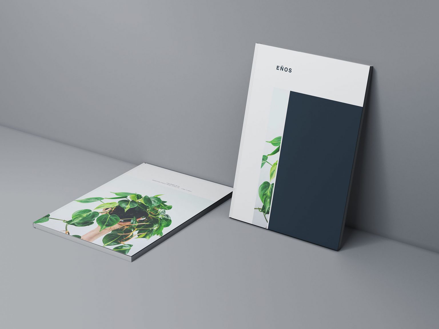 Two Magazine Covers Free Mockup — Free Mockup World