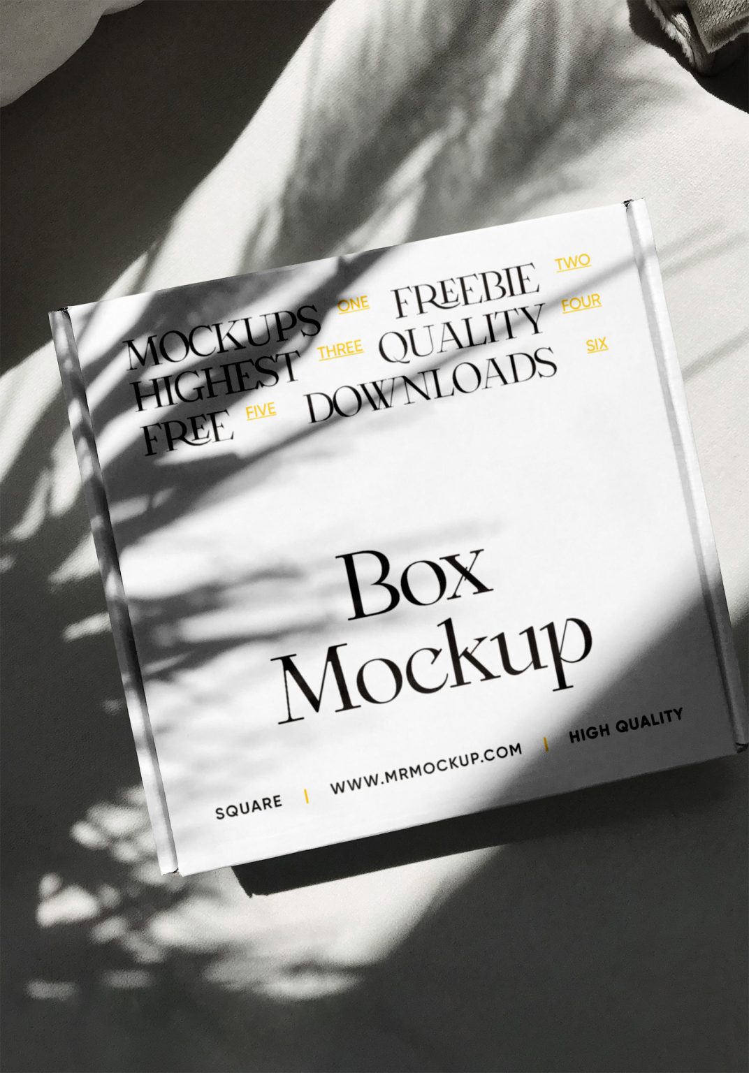 Square Package Free Mockup | Free Mockup World