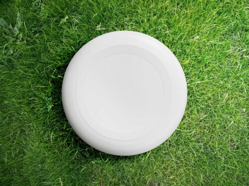 Frisbee Disc Mockup on Grass – Free PSD | Free Mockup World